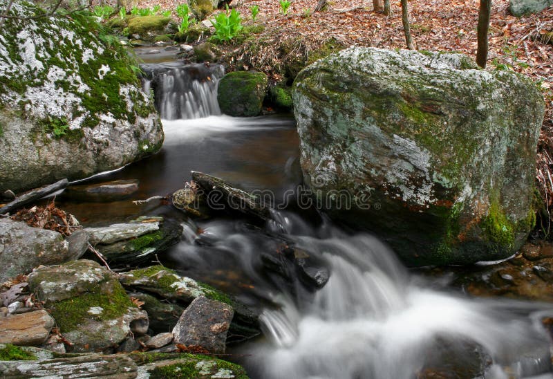 Flowing Stream stock photo. Image of flowing, spring, forest - 2319634