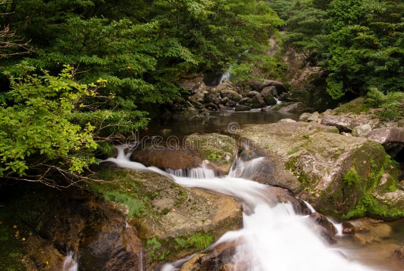 Flowing stream stock photo. Image of fall, forest, hills - 314476