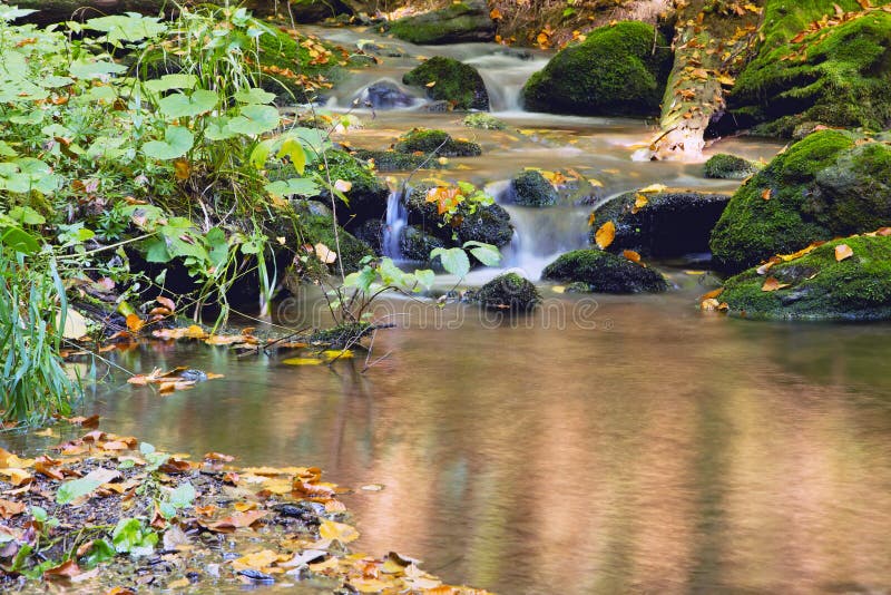 Peaceful Flowing Stream in the Forest Stock Image - Image of blurred ...