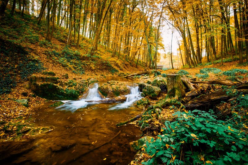 Autumn flowing stream stock image. Image of beautiful - 132658853
