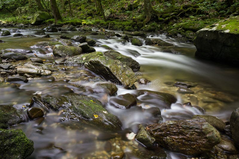 Flowing Stream in the Great Smoky Mountains Stock Image - Image of ...