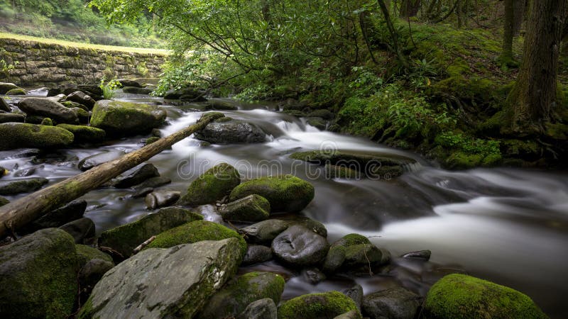 Flowing Stream in the Great Smoky Mountains Stock Image - Image of ...