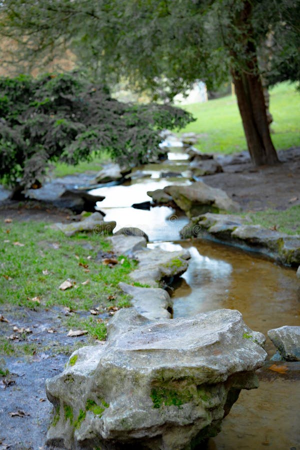 Flowing Stream with Natural Stone Pathway in a Serene Park Setting ...
