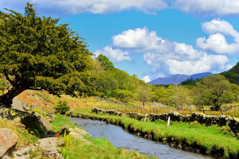 Flowing Stream Near Watendlath Stock Image - Image of watendlath ...
