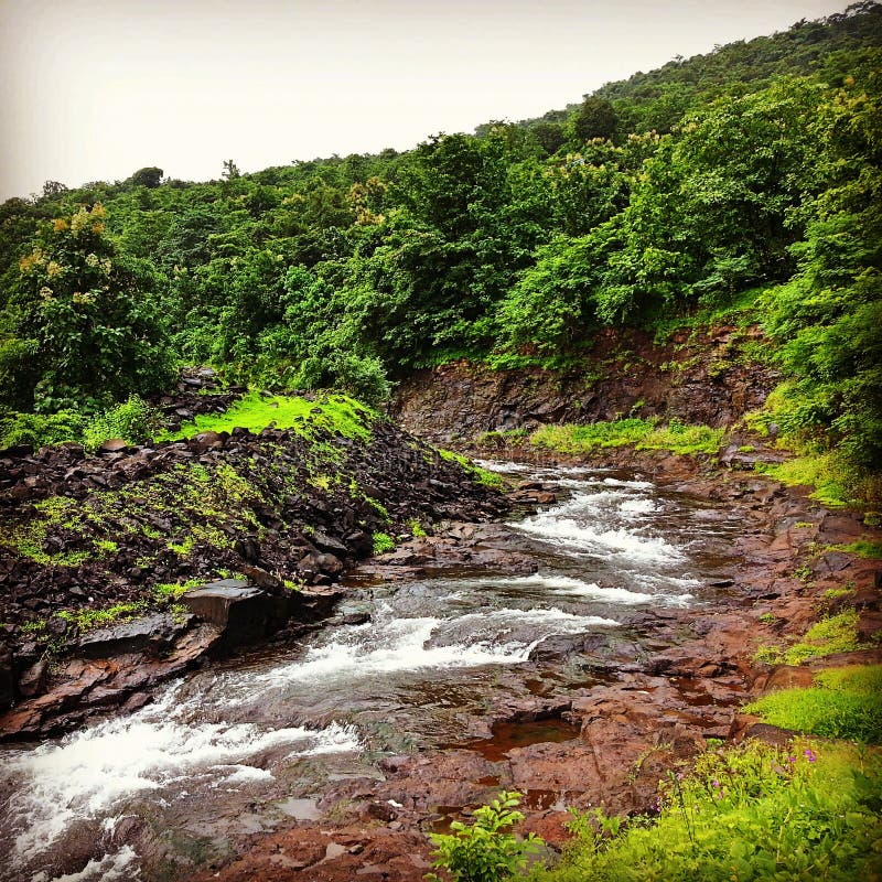 Flowing stream stock photo. Image of monsoon, hill, flowing - 79238834