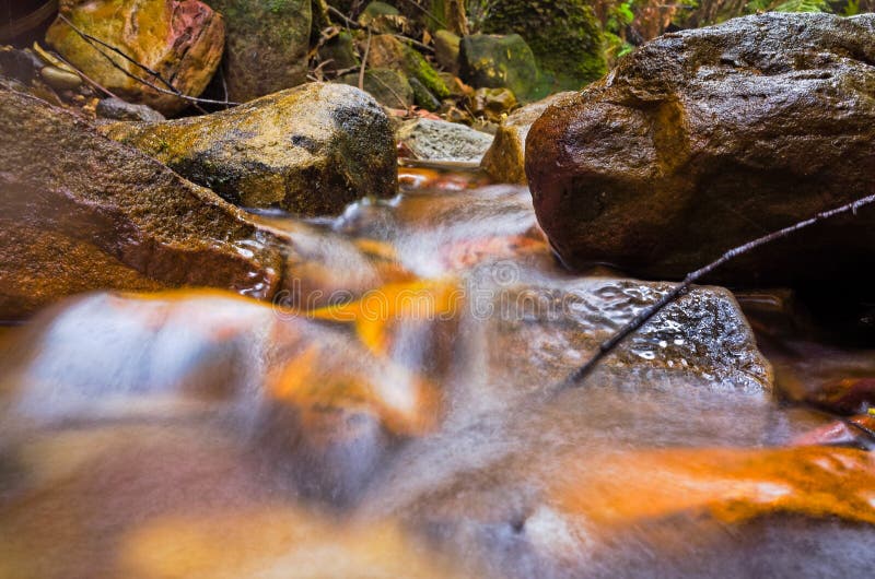 Flowing Stream Water Amid Rocks Stock Photo - Image of flowing, natural ...