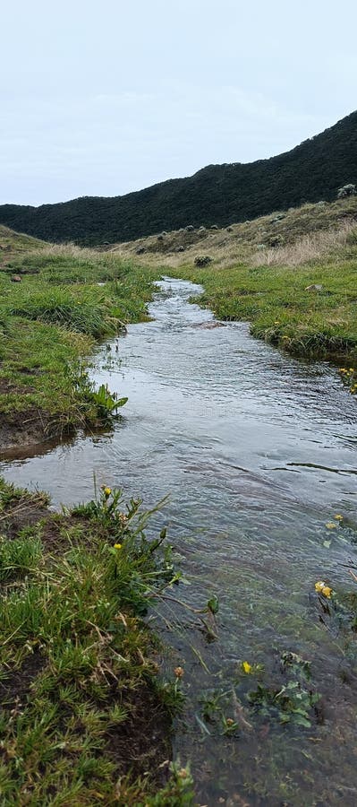 Flowing from Upstream Downstream Stock Image - Image of downst ...