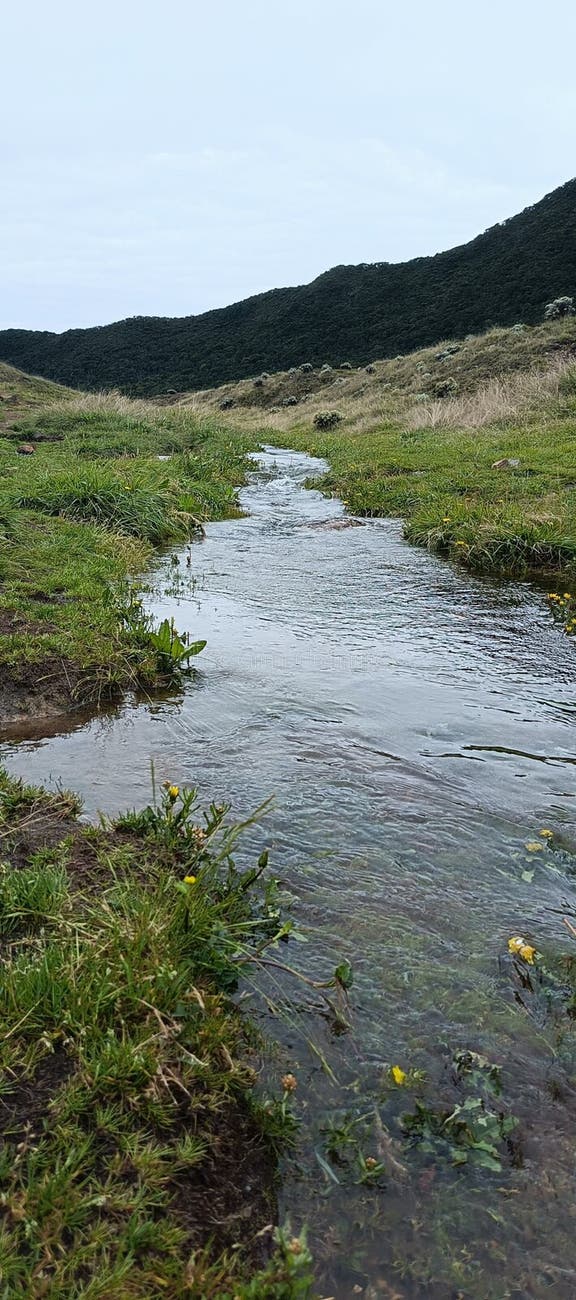 Flowing from Upstream Downstream Stock Image - Image of downst ...