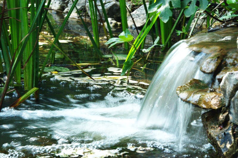 Flowing Water - Creative Commons By Gnuckx Picture. Image: 87313574