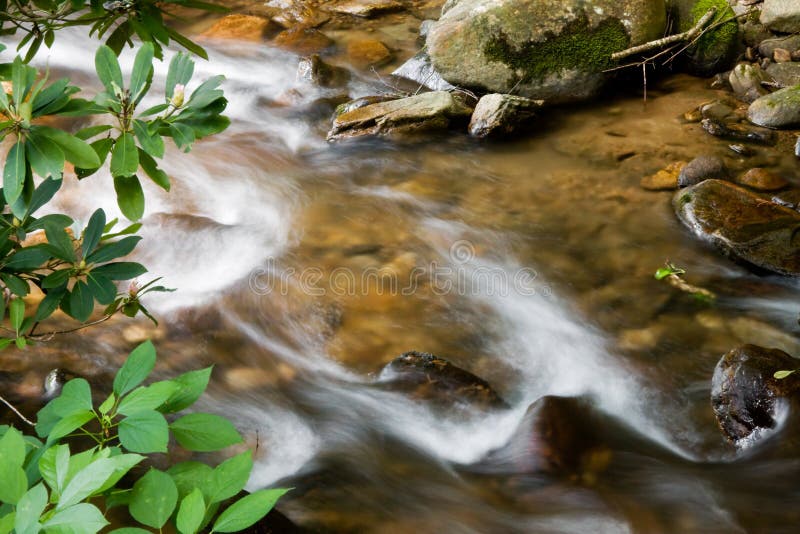 Flowing Creek Water stock photo. Image of outdoor, stream - 30565654