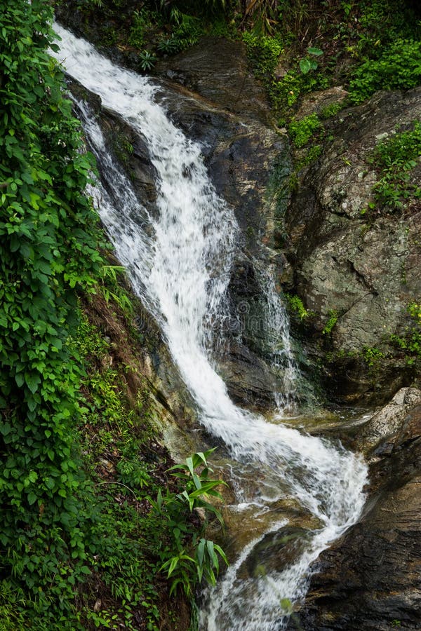 Flowing water stock photo. Image of stone, mountain, creeping - 79791770