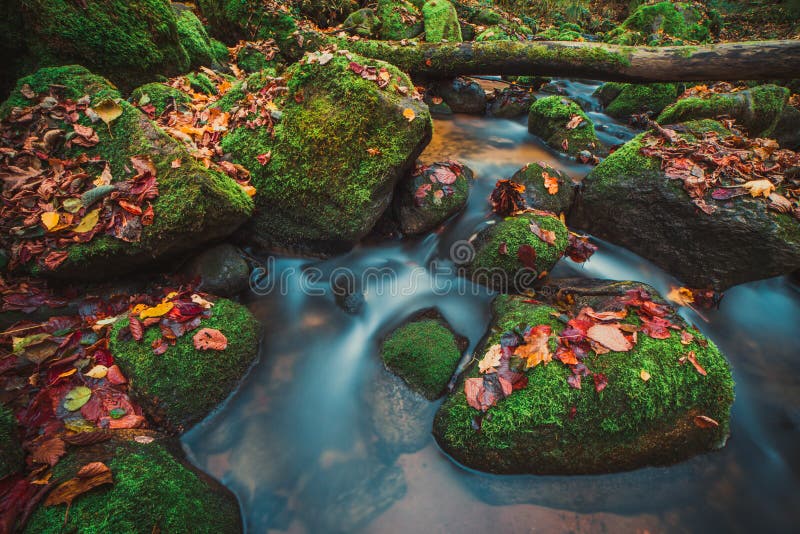 Flowing Water in Fall Nature Stock Image - Image of outdoor, nature ...