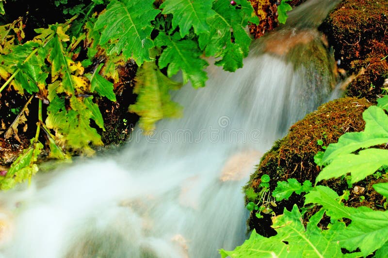 Flowing water stock photo. Image of nature, flow, splash - 52603230
