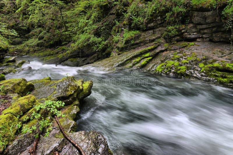 Flowing water stock image. Image of stream, natural, blurred - 34053205