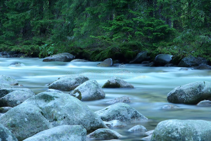 Flowing Water of Mountain Stream Stock Image - Image of krivan, creek ...