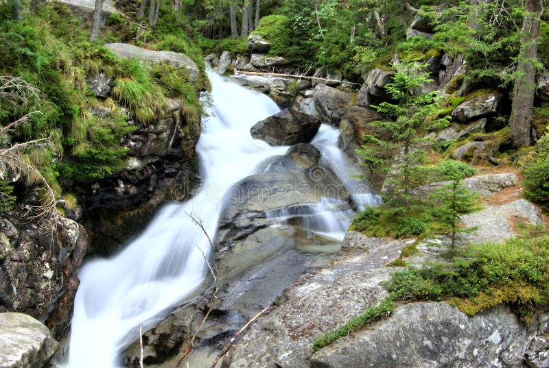 Flowing Water of Mountain Stream Stock Image - Image of park, krivan ...