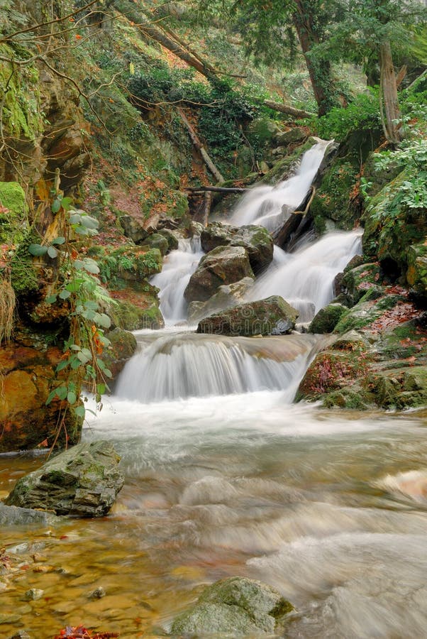 Flowing water in nature stock photo. Image of flow, scenery - 4780166