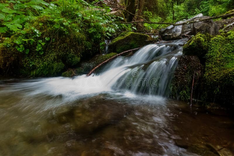Flowing Water Over a Step in the Forest Stock Image - Image of power ...