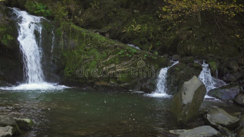 Quiet forest waterfall stock footage. Video of landscape - 261286096