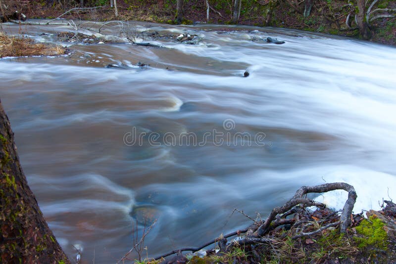 Flowing water. stock photo. Image of forest, nature, river - 36490530