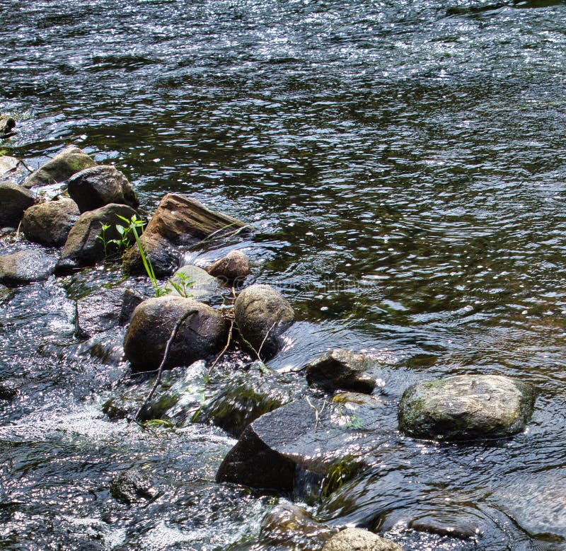 Flowing water stock photo. Image of flowing, nice, nature - 222213432