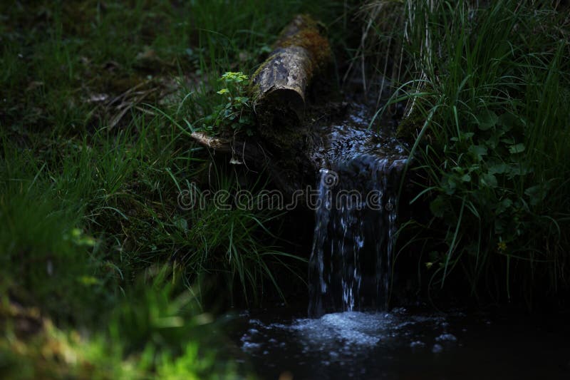 A Flowing Water Source in the Forest Stock Photo - Image of clean ...