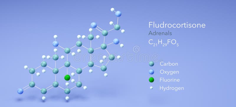 Fludrocortisone Molecule, Molecular Structures, Adrenals, 3d Model ...