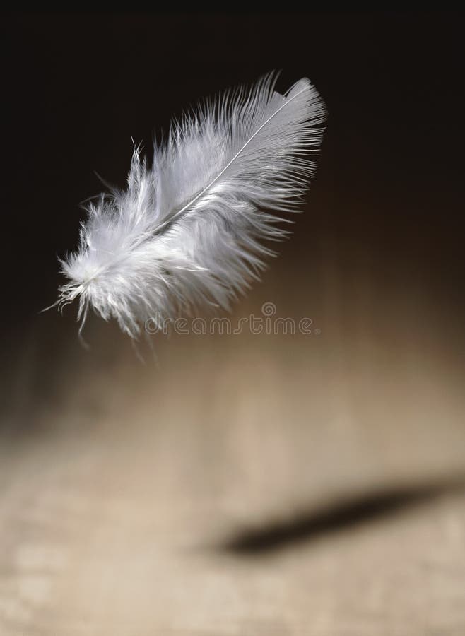 Falling feather stock photo. Image of background, moment - 3779572