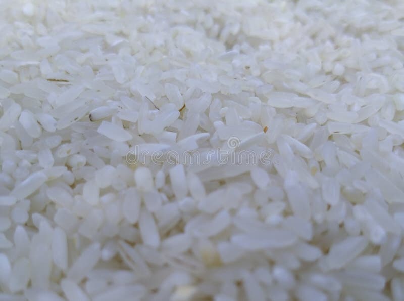 Fluffier white rice stock photo. Image of rice, pure - 207893710