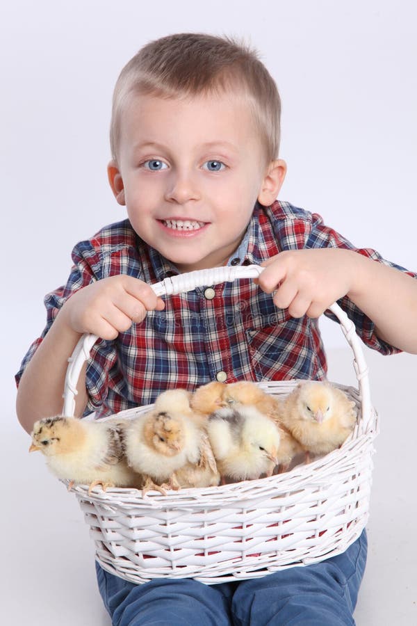 Fluffy animals stock image. Image of chick, love, chicken - 89413017