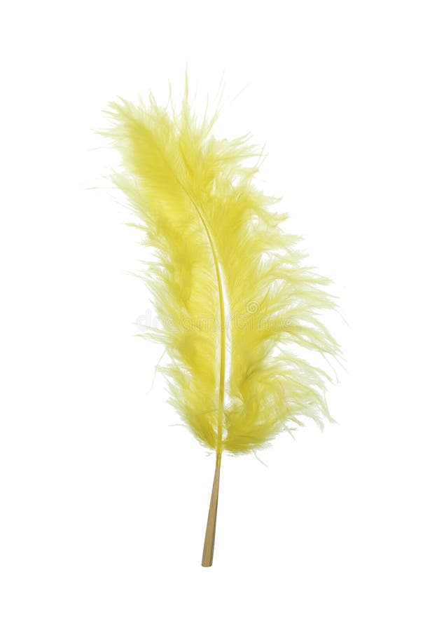 Fluffy Beautiful Yellow Feather Isolated on White Stock Photo - Image ...