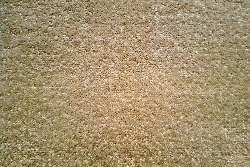 A beige carpet texture stock image. Image of close, detail - 14586329