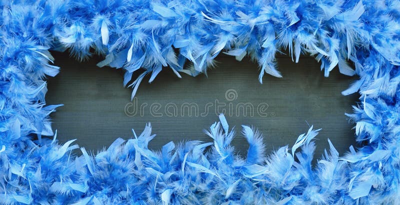 Black Feather Boa Border Stock Photos - Free & Royalty-Free Stock ...