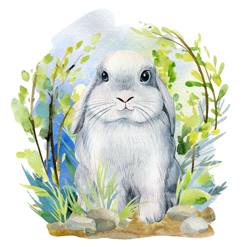 Cute Watercolor Bunny, Beautiful Rabbit. Hand Drawing Illustration ...