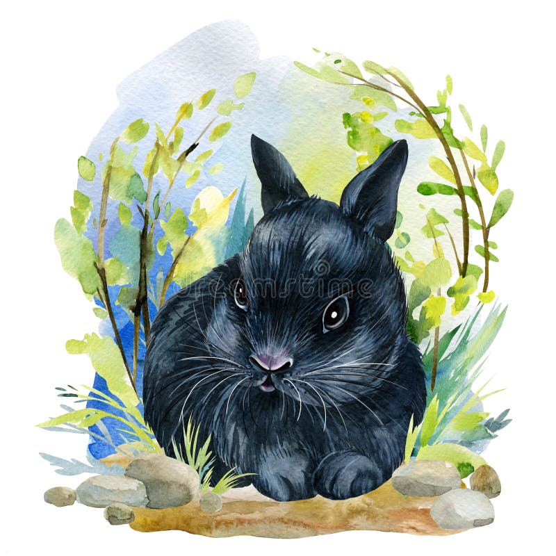 Fluffy Bunny. Spring Cute Rabbit on the Grass, Watercolor Illustration ...