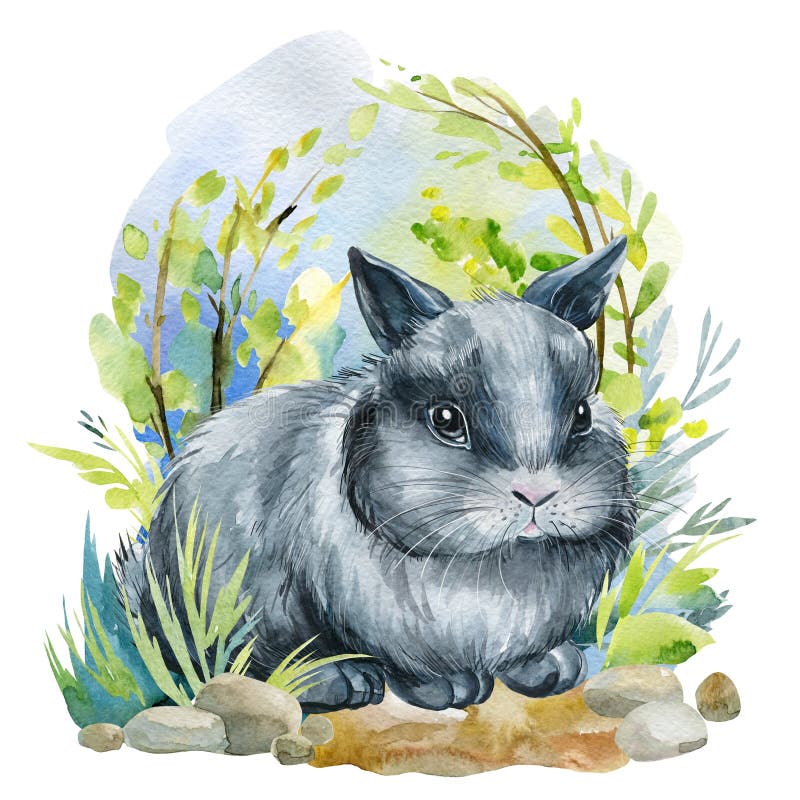 Fluffy Bunny. Spring Cute Rabbit on the Grass, Watercolor Illustration ...