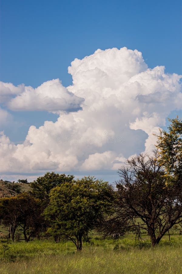 Fluffy cloud stock photo. Image of trees, area, clouds - 49876672