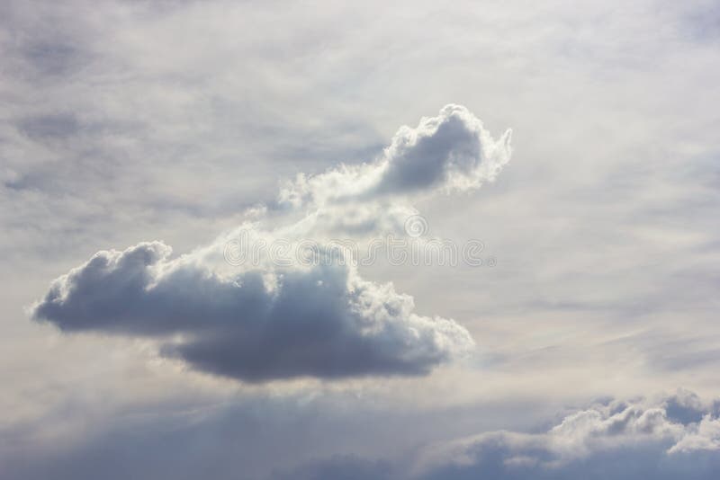Cumulus Big White Fluffy Clouds Texture, Against Blue Sky Background ... Cumulus Big White Fluffy Clouds Texture, Against Blue Sky Background ...