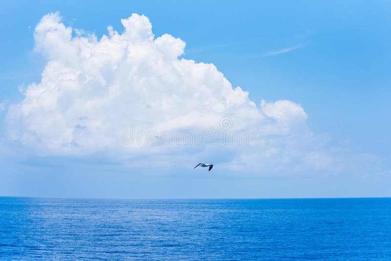 Fluffy Clouds Over the Calm Pacific Ocean. Stock Image - Image of ...