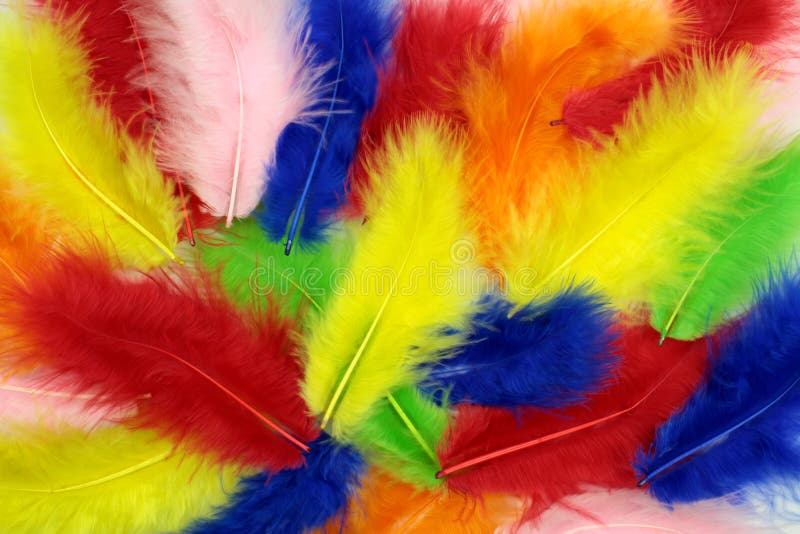 Fluffy Colorful Feathers Background Stock Image - Image of fragile ...