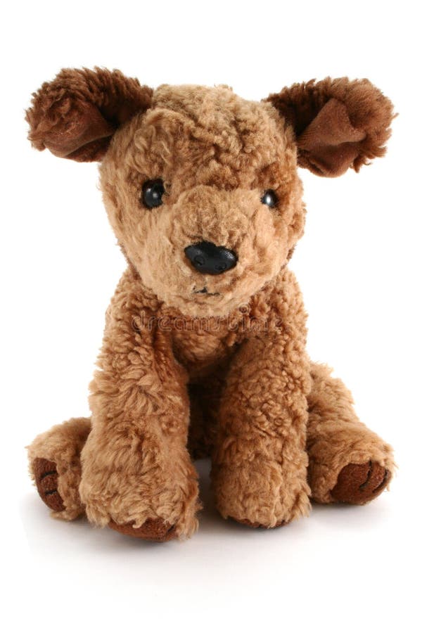 Fluffy Dog stock photo. Image of small, ears, kids, curious - 8144394