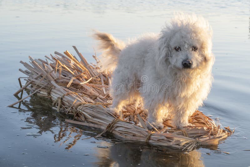 Czuber - Photographer profile