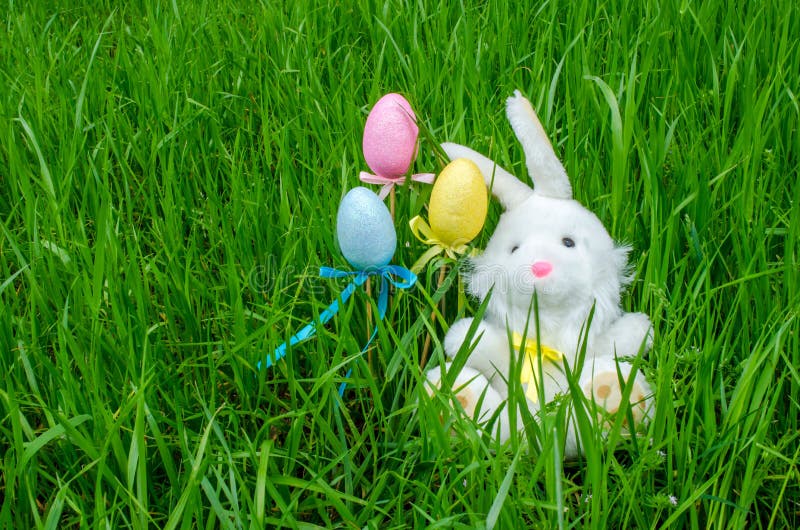 Fluffy Easter Bunny with Colored Eggs Stock Photo - Image of eggs, cute ...