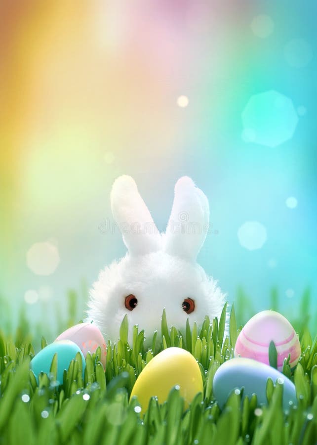 Fluffy Easter White Bunny Hunts for Colored Easter Eggs on Green Grass ...