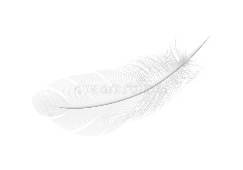 Fluffy Feather Realistic Composition Stock Vector - Illustration of ...