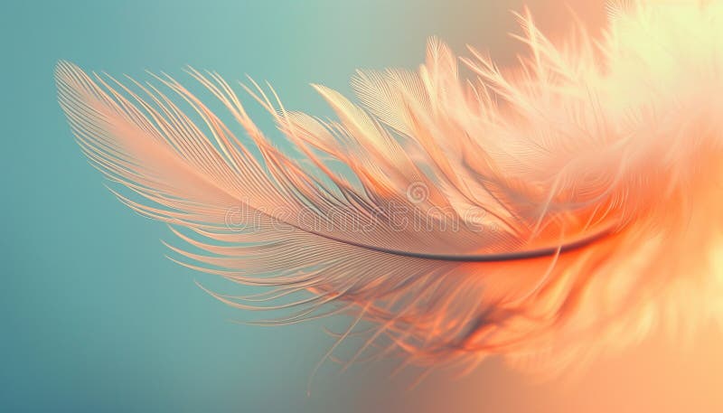 Fluffy Feather, Symbol of Freedom, Flying with Elegance and Beauty ...