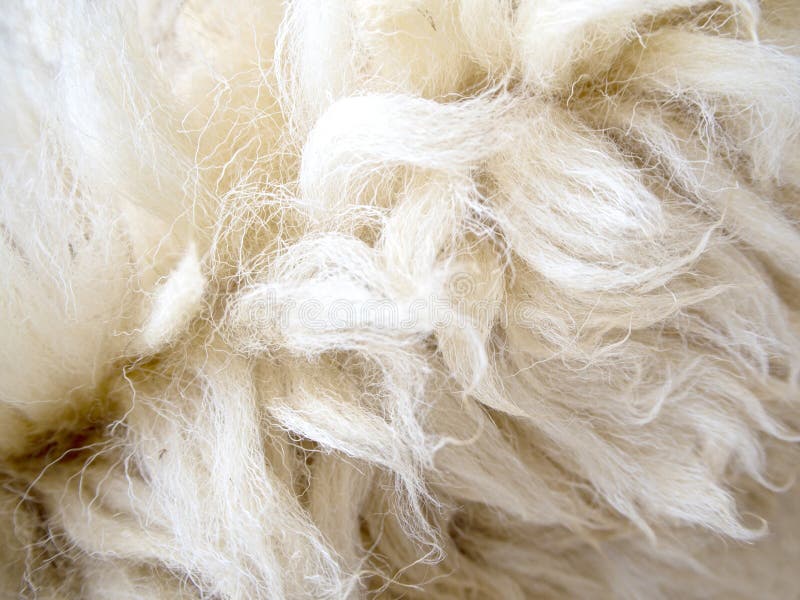 Fluffy fleece stock photo. Image of warm, furry, detail - 73985120