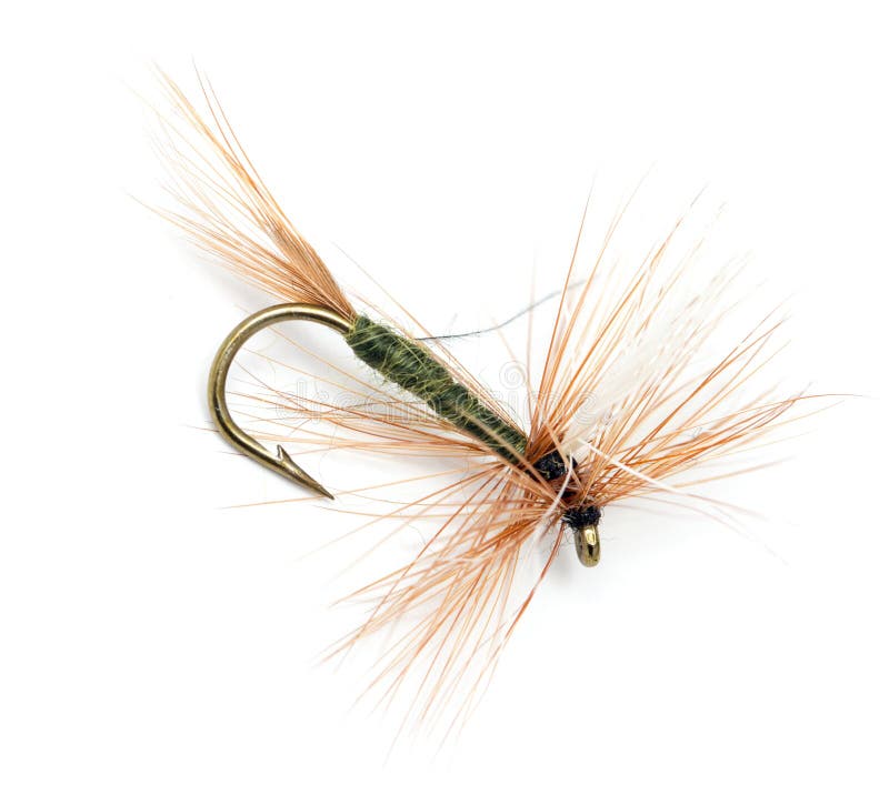 Fluffy Fly Fishing Hook Isolated on White Stock Photo - Image of hackle ...