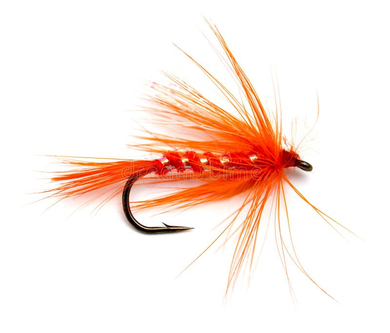 Fluffy Fly Fishing Hook Isolated on White Stock Image - Image of ...