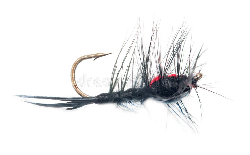 Fluffy Fly Fishing Hook Isolated on White Stock Image - Image of barb ...